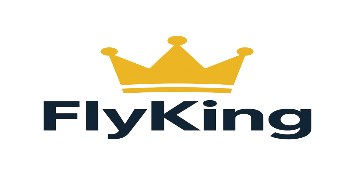 Flyking - Login